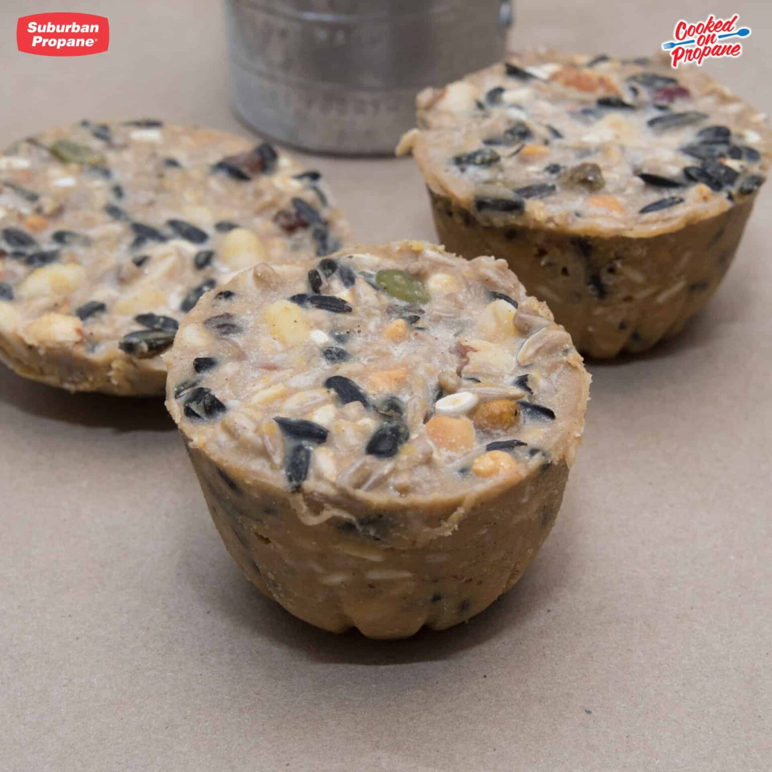 Homemade Suet Feeder